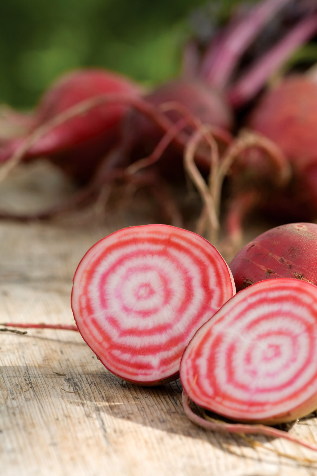 How to plant, grow & care for beetroot | Sarah Raven