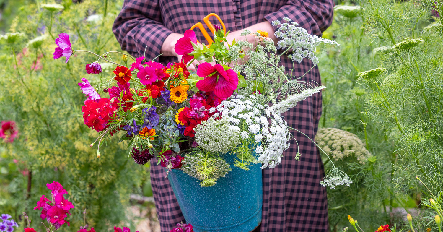 Container Garden | Sarah Raven