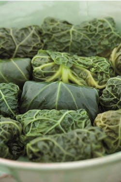 Bea's stuffed cabbage leaves recipe - Sarah Raven